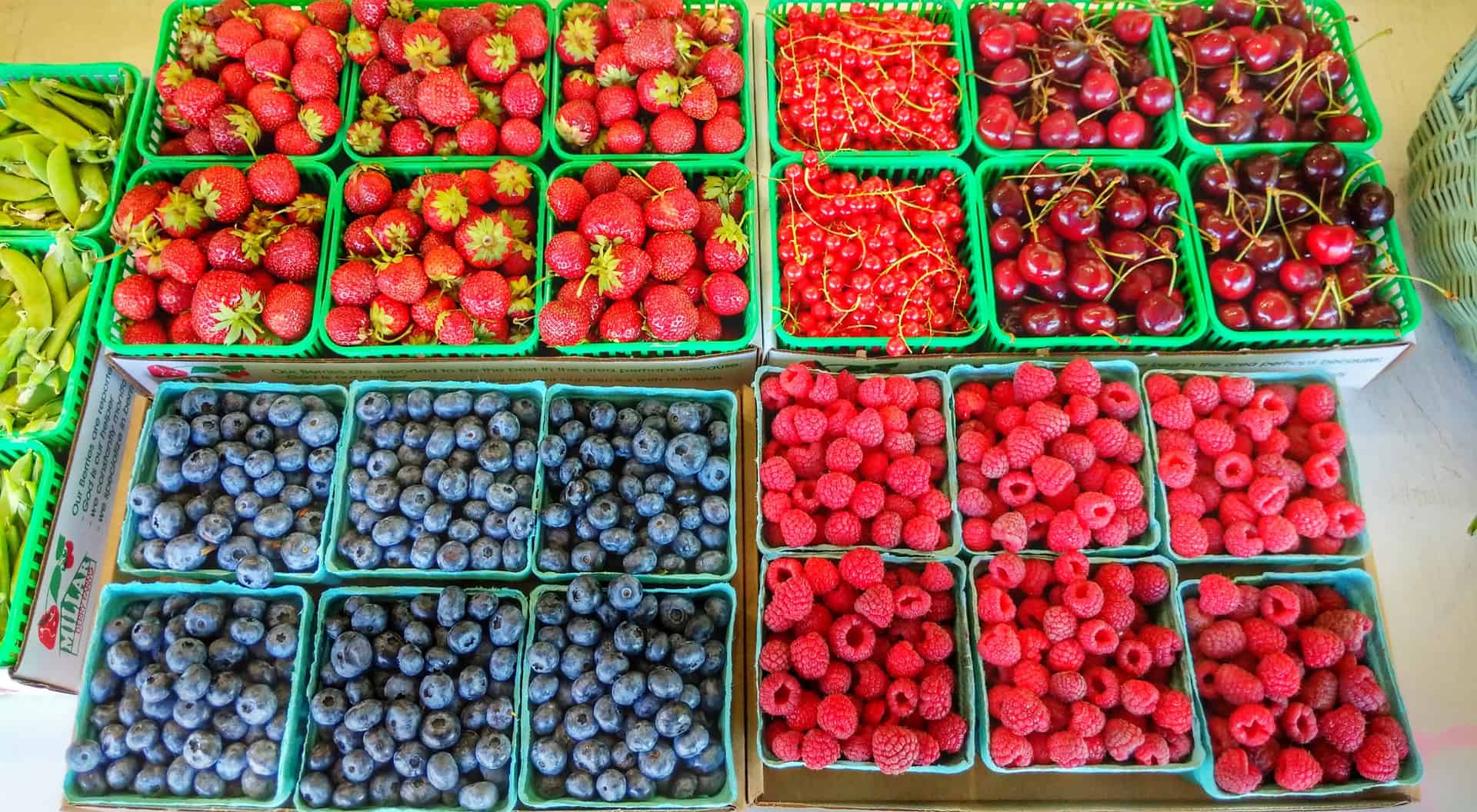 MBF - Our Produce